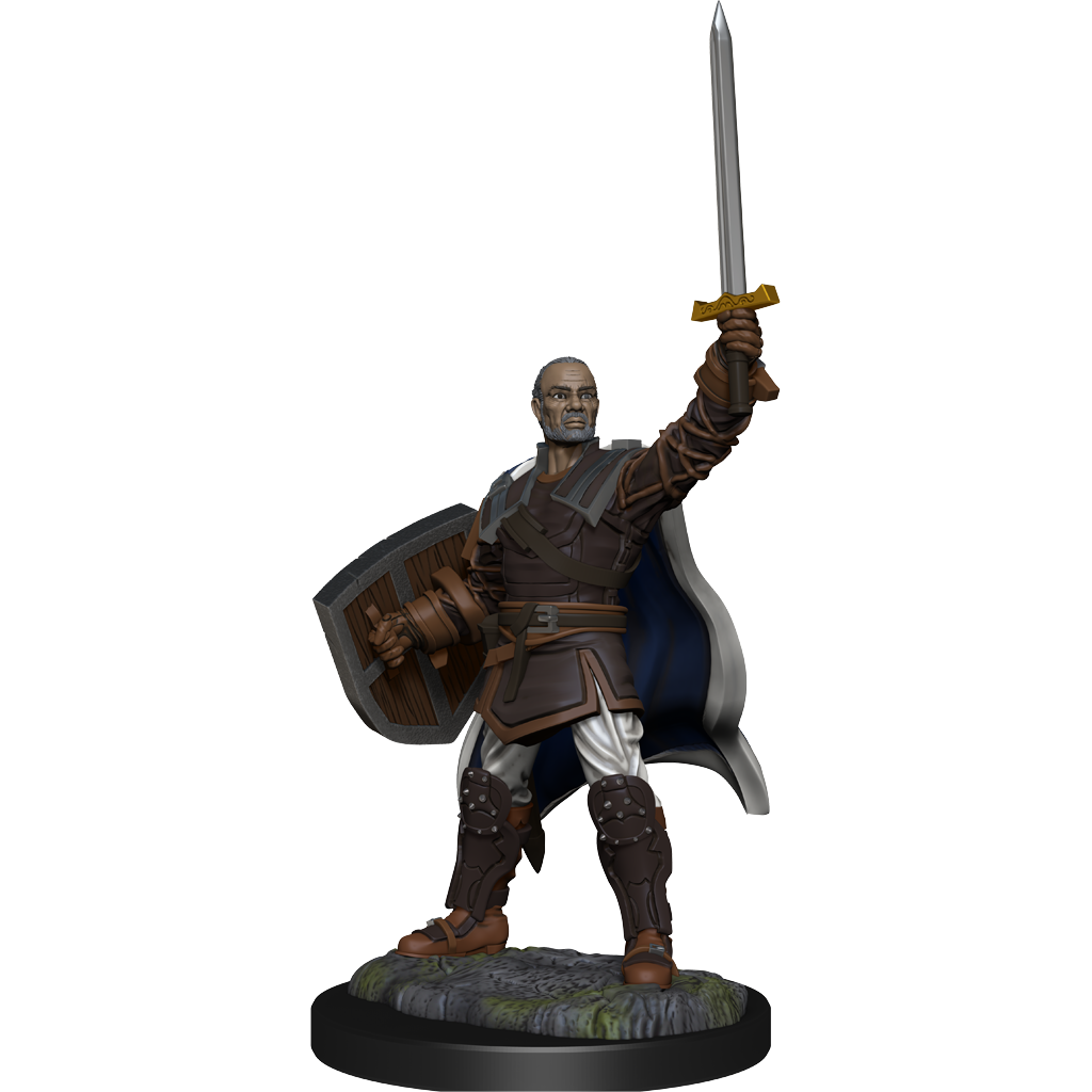 D&D Nolzur's Marvelous Miniatures: Human Paladin Male – Shop Dungeon ...