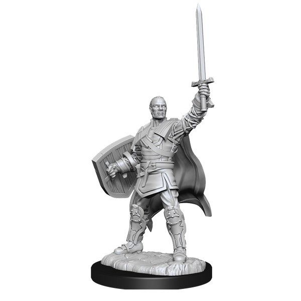 D&D Nolzur's Marvelous Miniatures: Human Paladin Male – Shop Dungeon ...