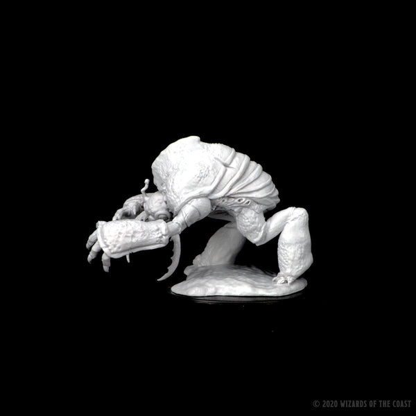 D&D Nolzur's Marvelous Miniatures: Umber Hulk – Shop Dungeon & Dragons ...