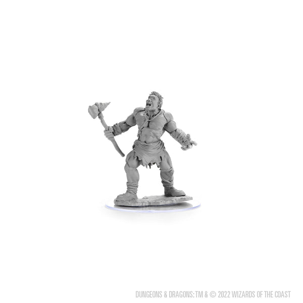 D&D Nolzur's Marvelous Miniatures: Cyclops – Shop Dungeon & Dragons ...