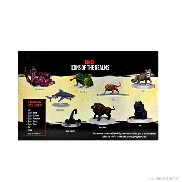 D&D Icons of the Realms: Wild Shape & Polymorph Set 1 – Shop Dungeon ...