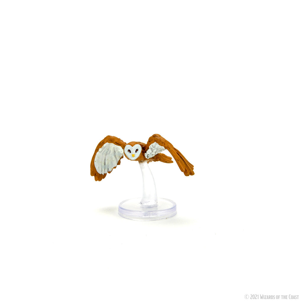 D&D Icons of the Realms: Wild Shape & Polymorph Set 2 – Shop Dungeon ...