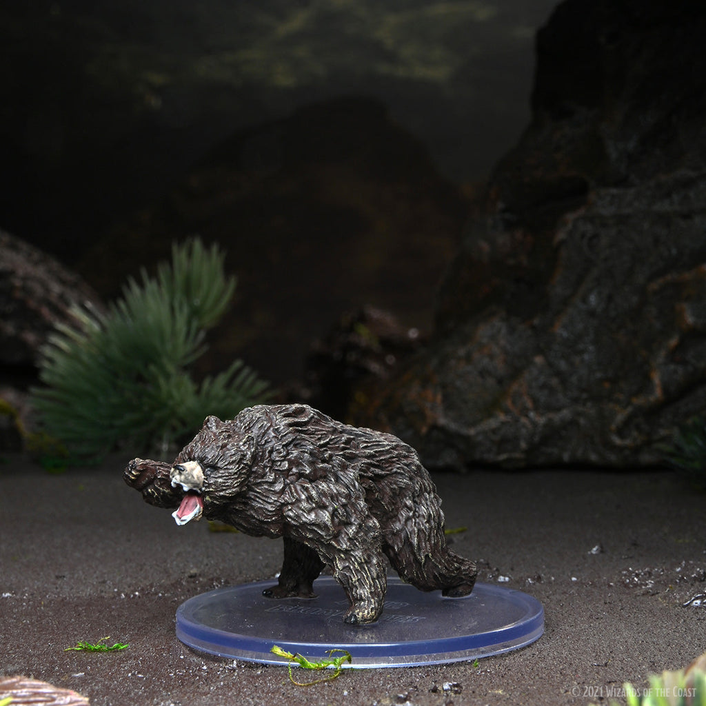 D&D Icons of the Realms: Wild Shape & Polymorph Set 2 – Shop Dungeon ...