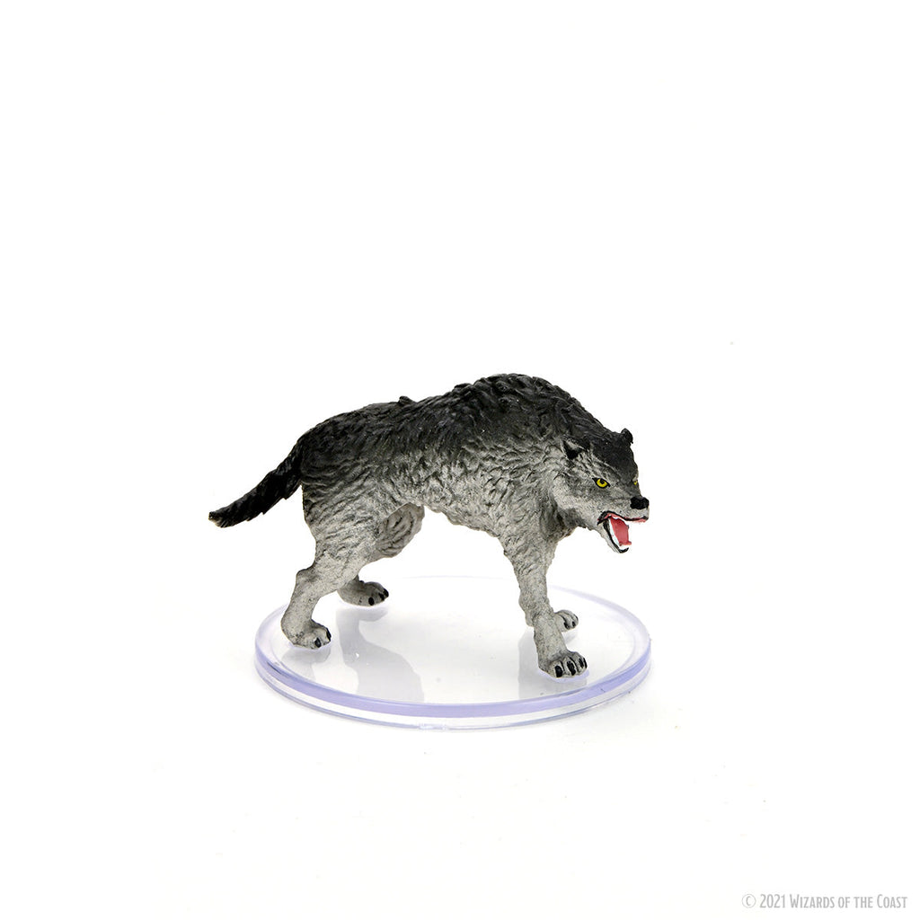 D&D Icons of the Realms: Wild Shape & Polymorph Set 2 – Shop Dungeon ...