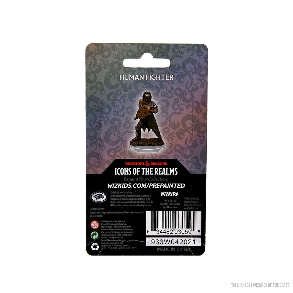 D&D Icons of the Realms Premium Figures: Male Human Fighter – Shop ...