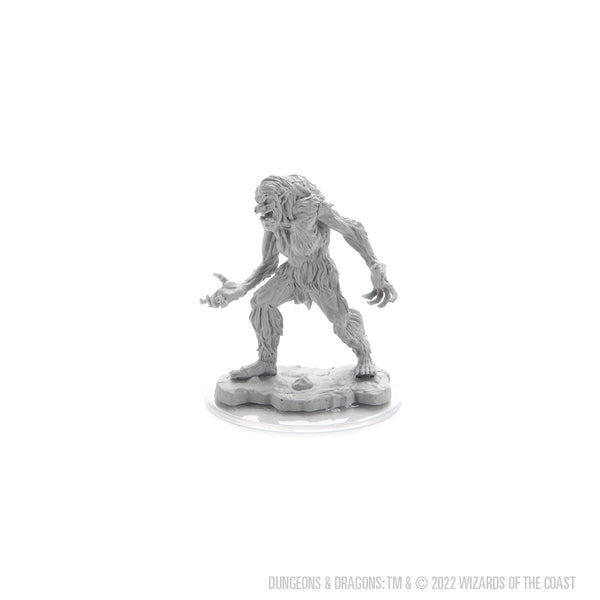 D&D Nolzur's Marvelous Miniatures: Ice Troll Female – Shop Dungeon ...
