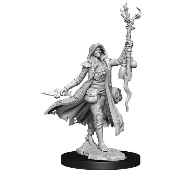 D&D Frameworks: Human Druid Female - Unpainted and Unassembled – Shop ...
